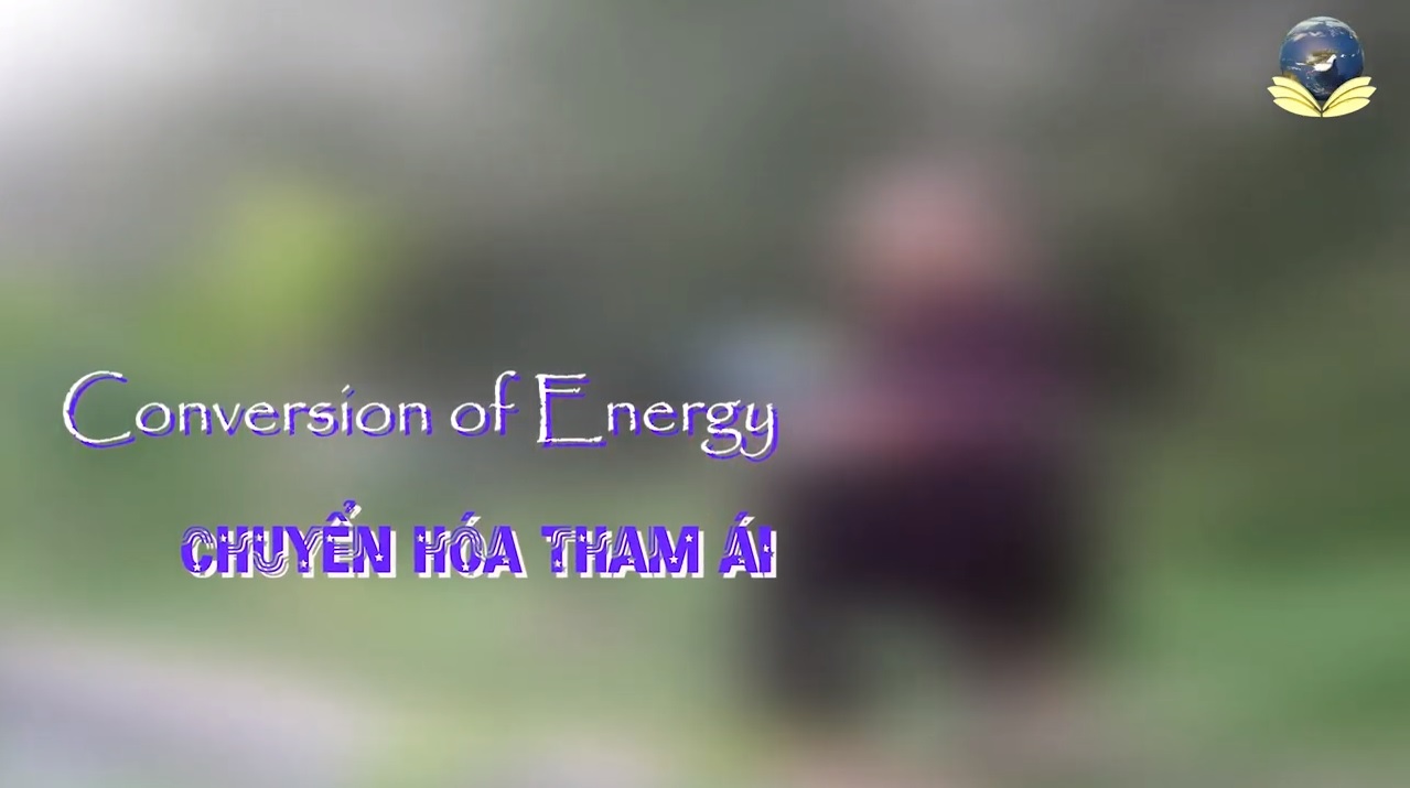Chuyển hóa năng lượng tham ái - Học Phật và Học Sống